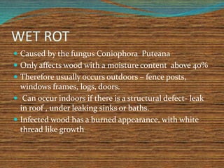 Defects in timber | PPTX