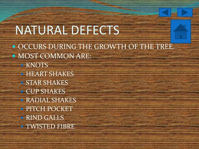Defects in timber | PPTX
