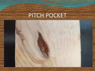 Defects in timber | PPT