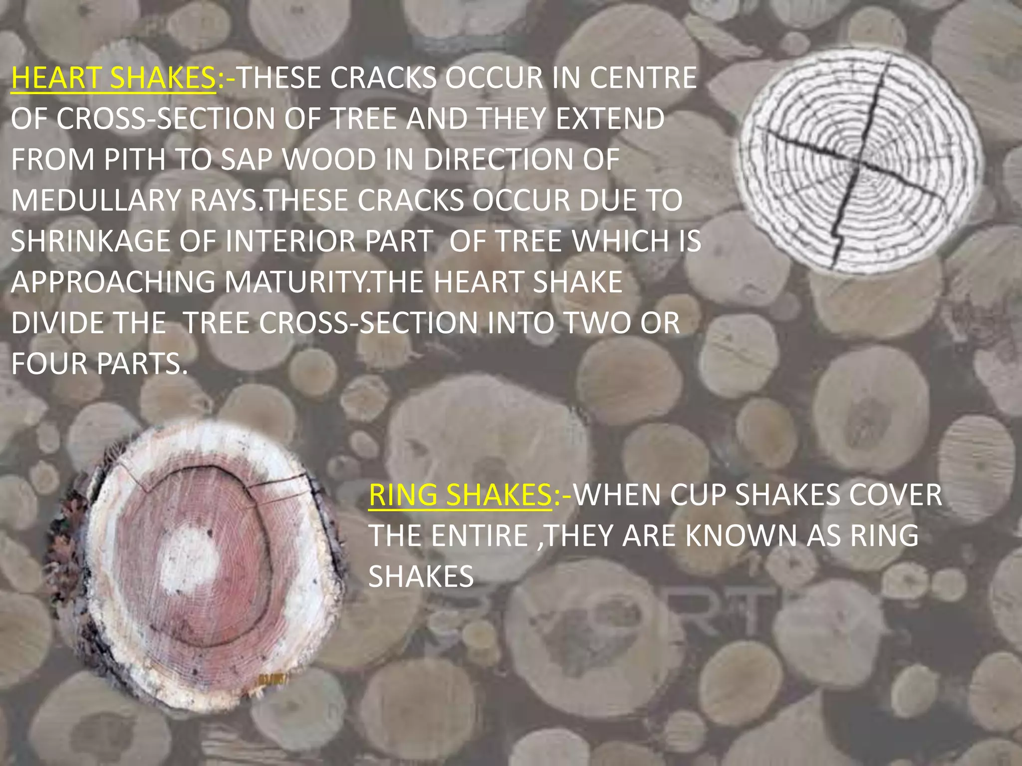 Defects in timber | PPTX