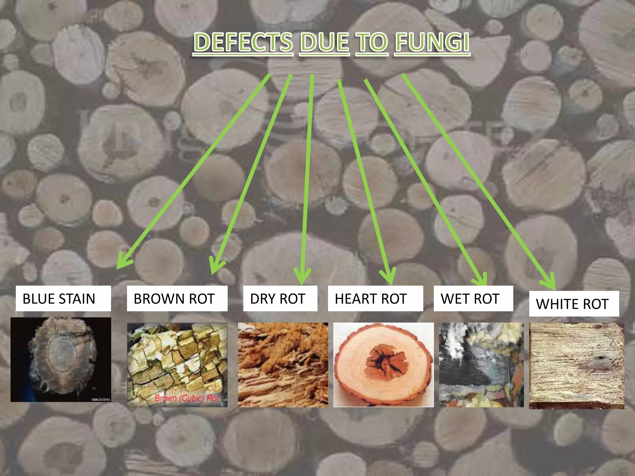 Defects in timber | PPTX