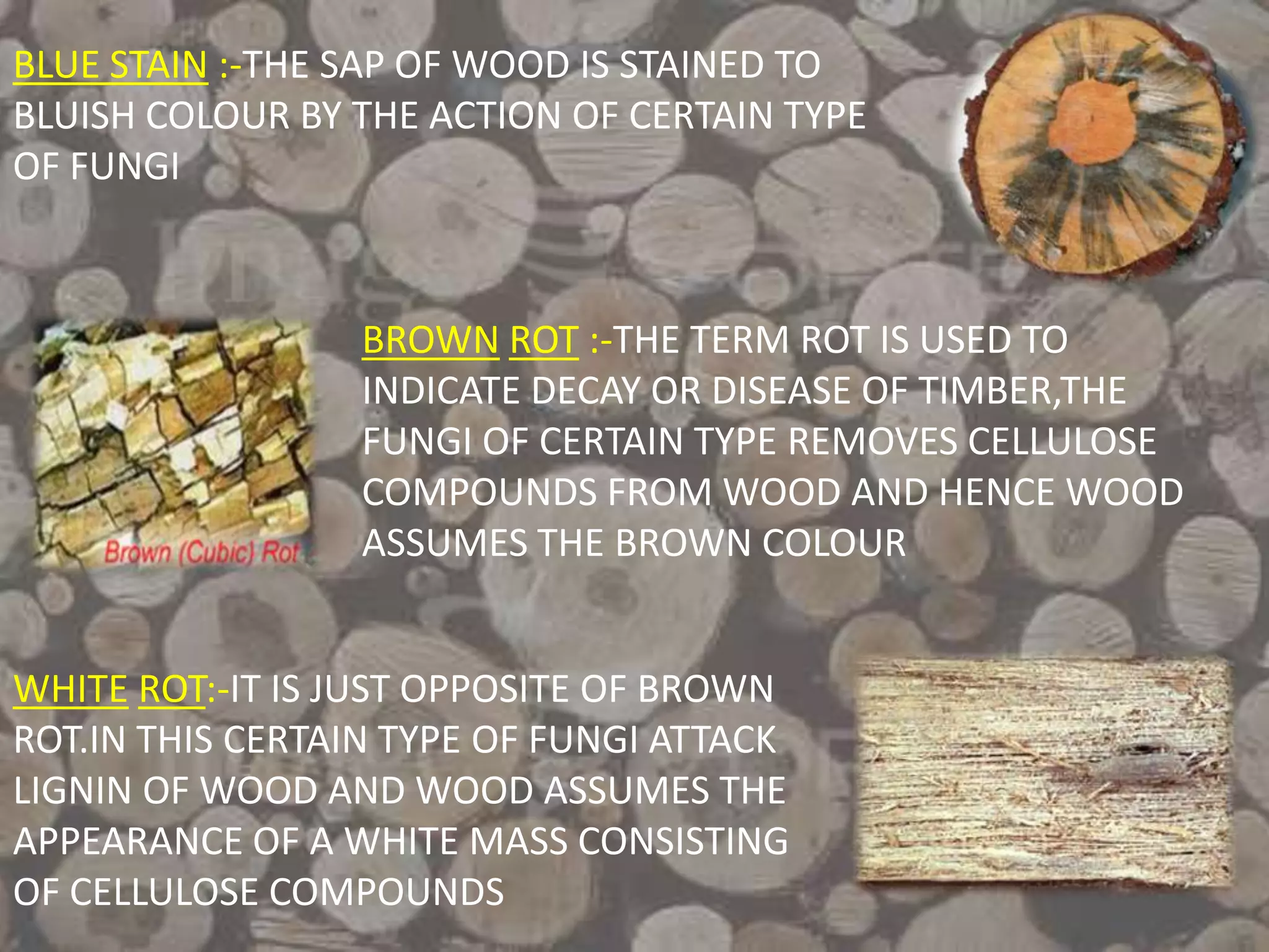 Defects in timber | PPTX