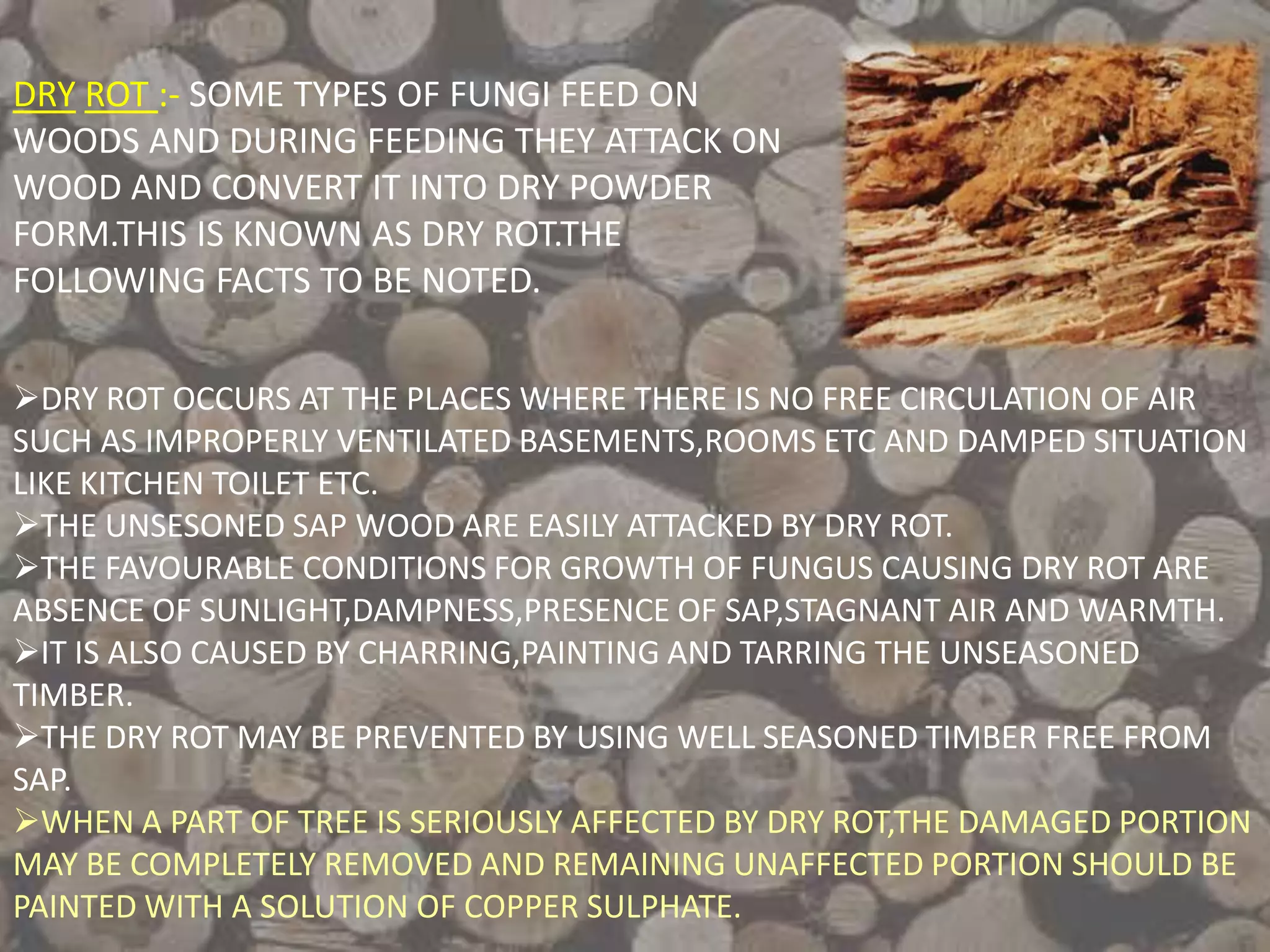 Defects in timber | PPTX