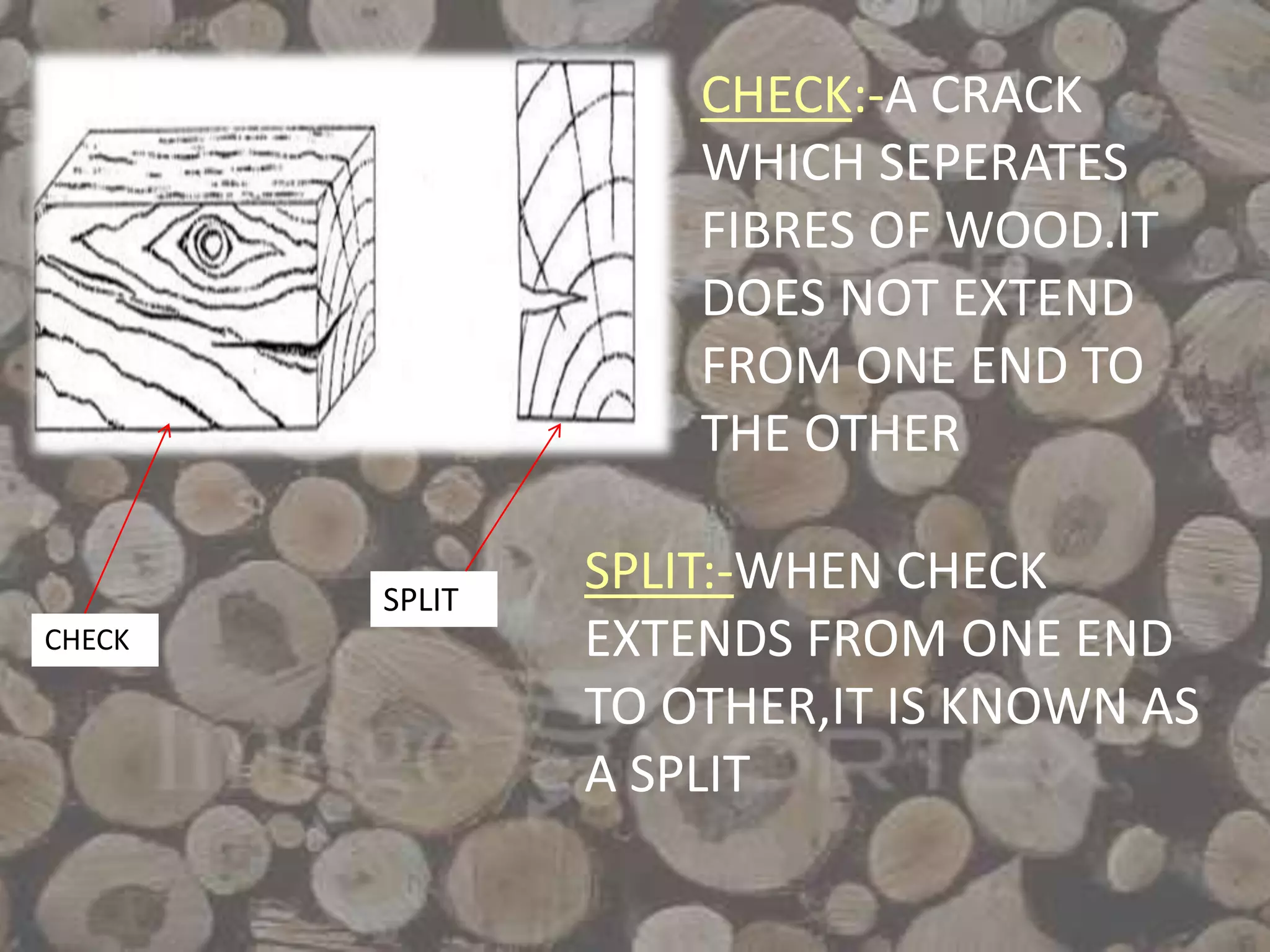 Defects in timber | PPTX