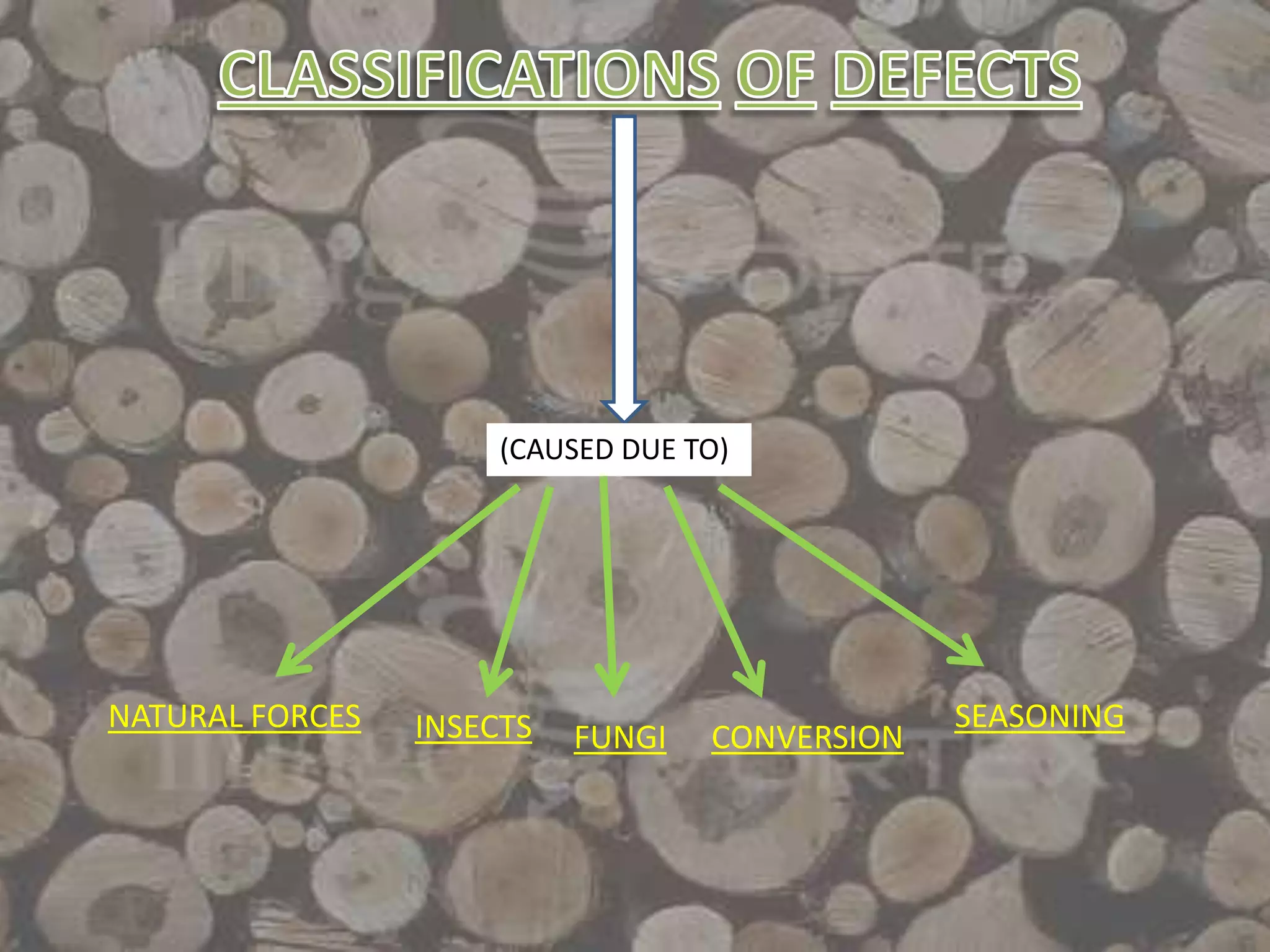 Defects in timber | PPTX