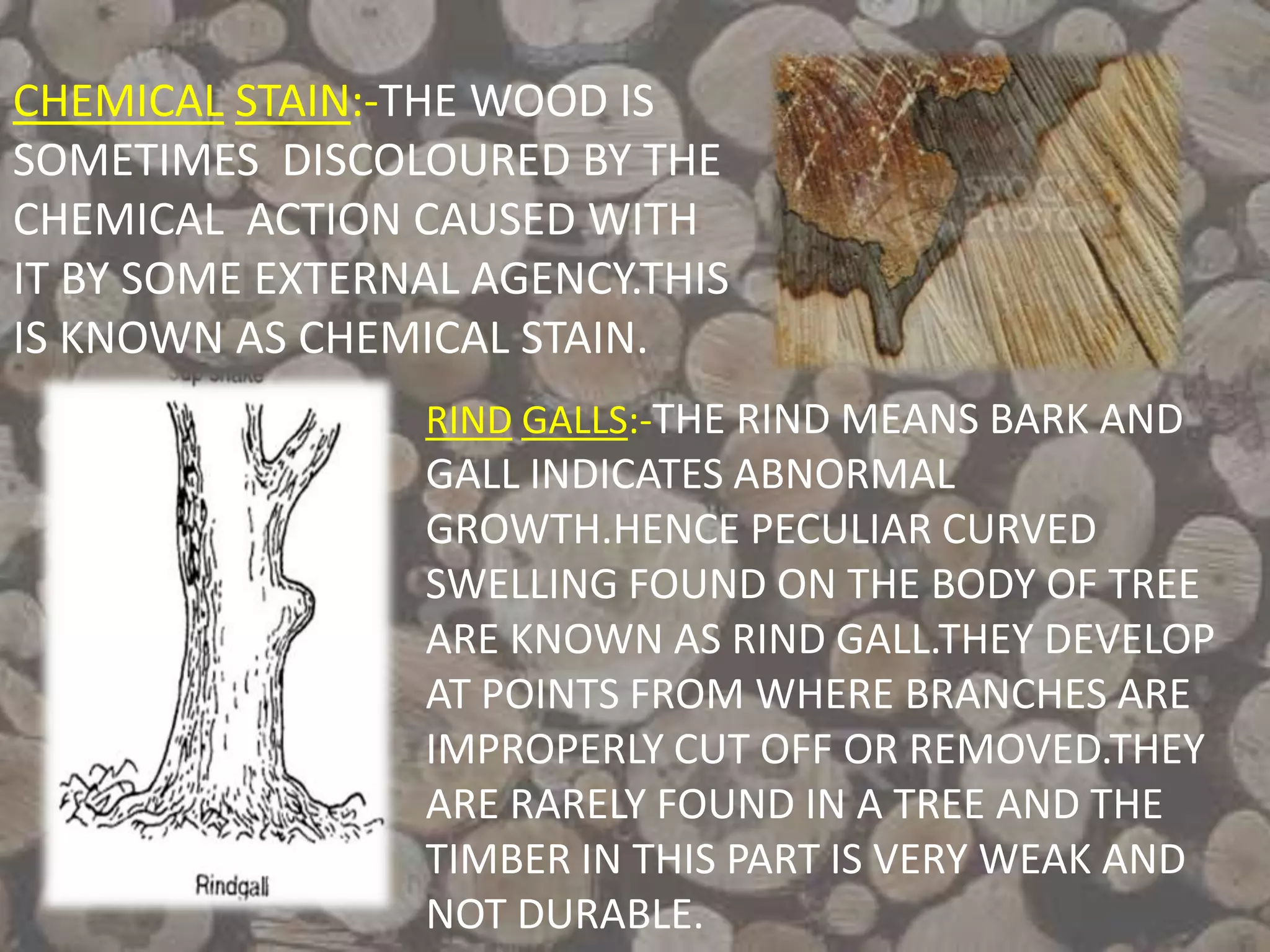 Defects in timber | PPTX