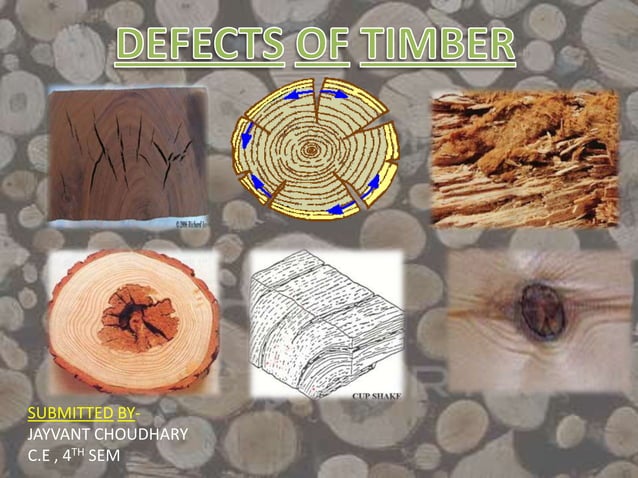 Defects in timber | PPTX