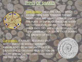 Defects in timber | PPTX