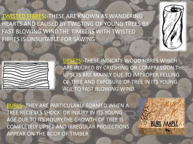 Defects in timber | PPTX