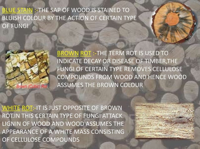 Defects in timber | PPTX