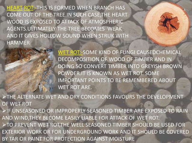 Defects in timber | PPTX