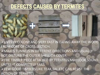 Defects in timber | PPTX