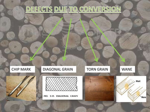 Defects in timber | PPTX