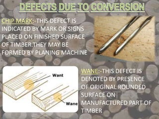 Defects in timber | PPTX