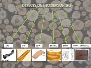 Defects in timber | PPTX