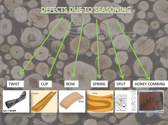 Defects in timber | PPTX