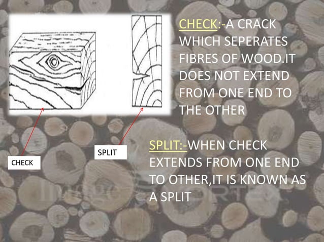 Defects in timber | PPTX