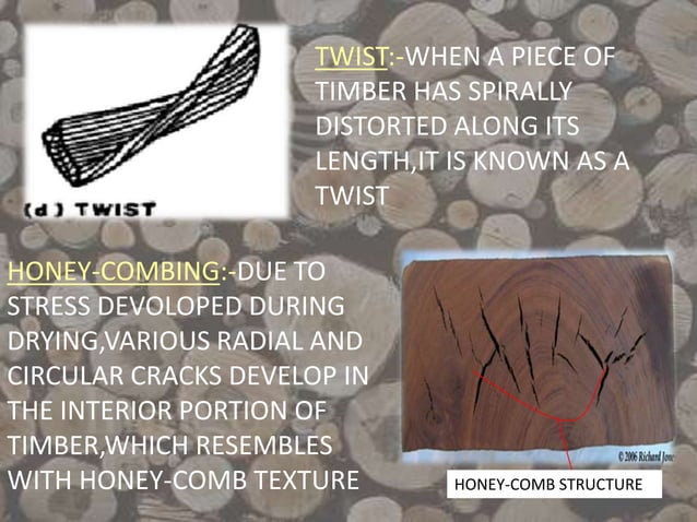 Defects in timber | PPTX