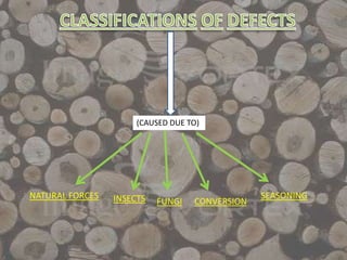 Defects in timber | PPTX