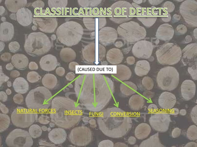 Defects in timber | PPTX