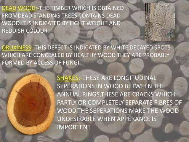 Defects in timber | PPTX