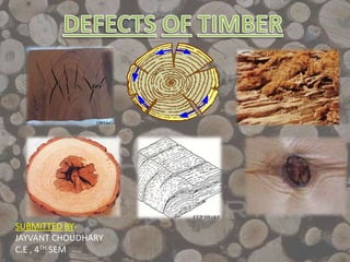 Part Wood Timber Cross Section Of Timber Pith Heart Wood, 53% OFF