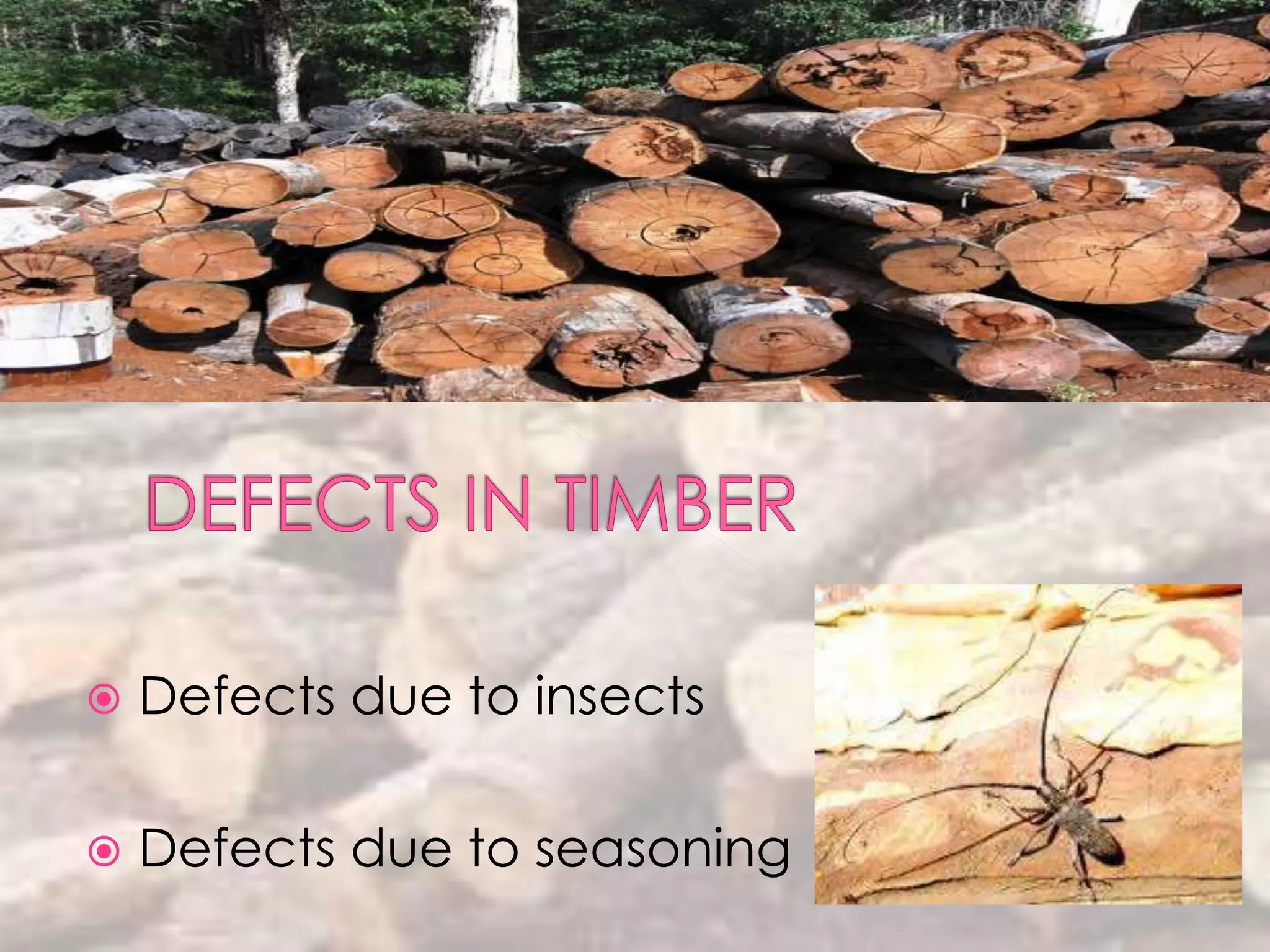Defects in timber (1) | PPTX