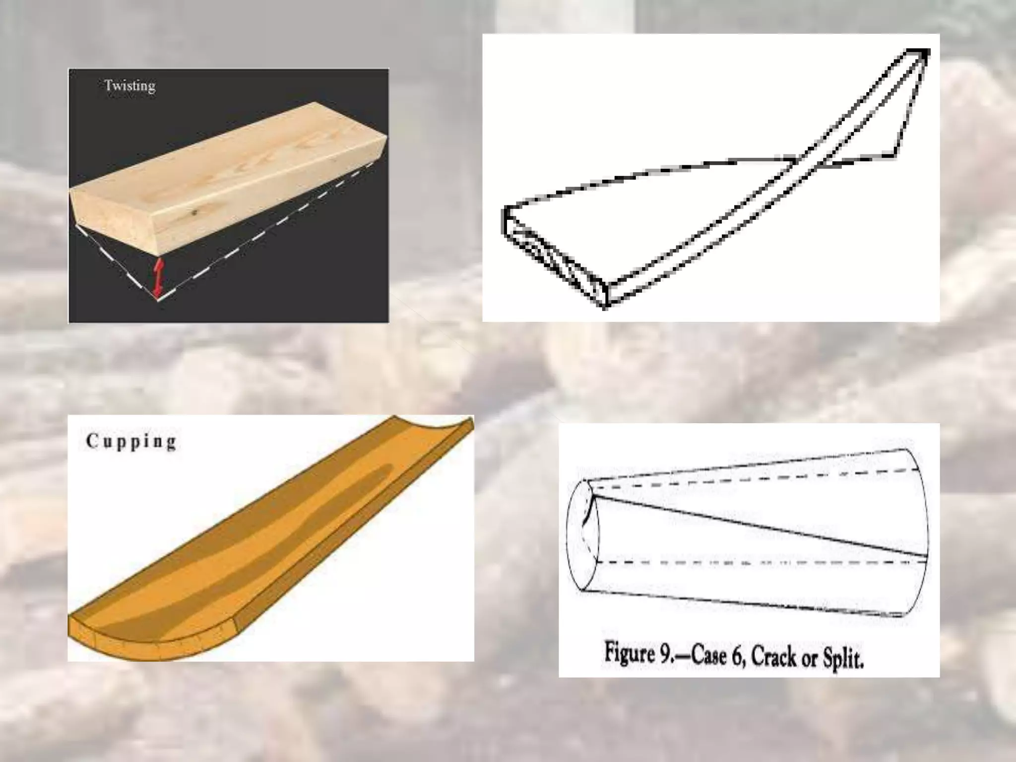 Defects in timber (1) | PPTX