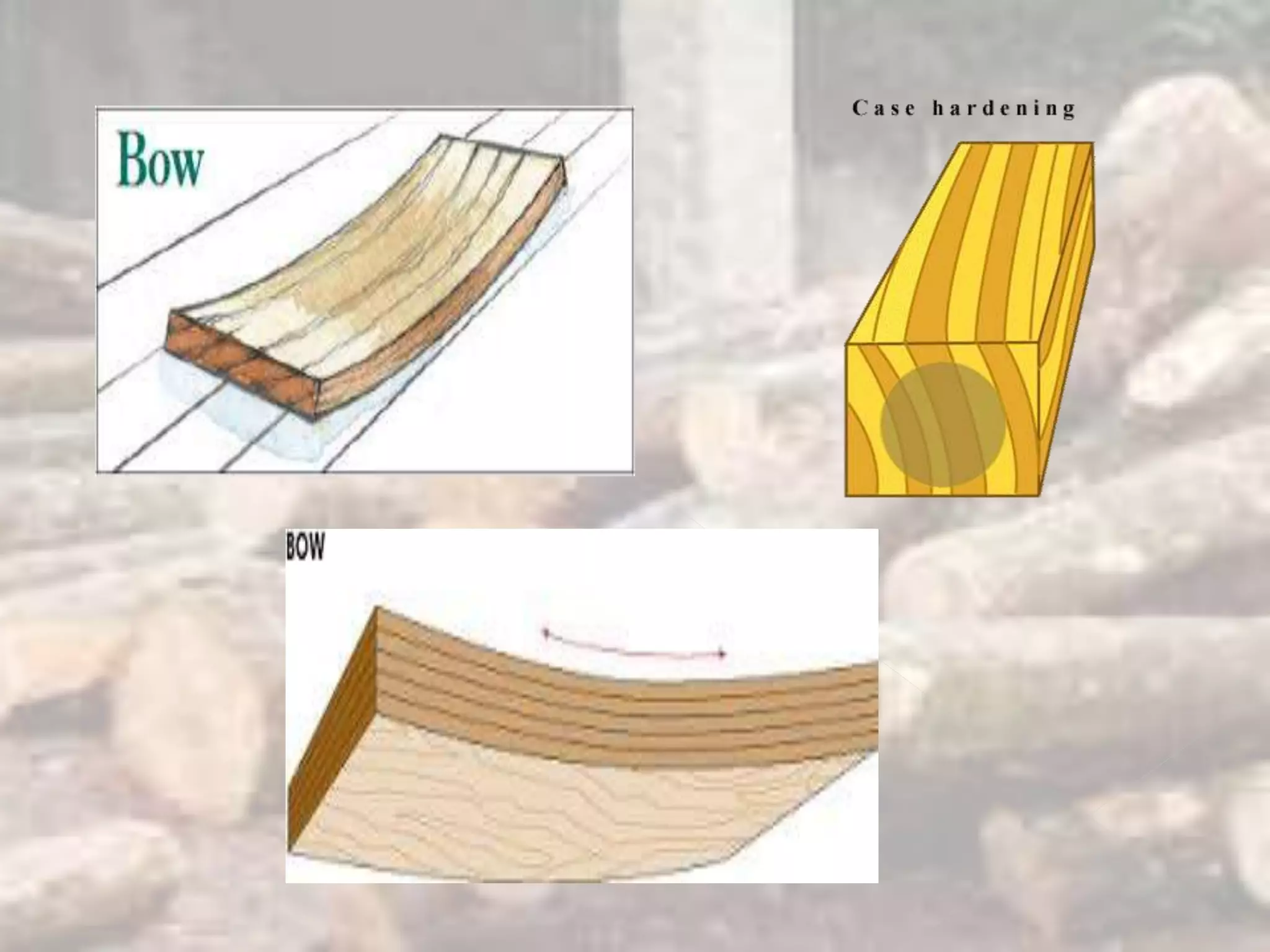 Defects in timber (1) | PPTX