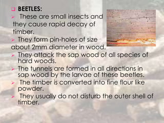Defects in timber (1) | PPTX