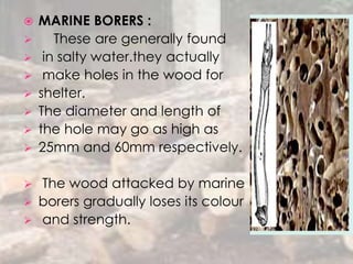 Defects in timber (1) | PPTX