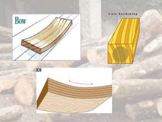 Defects in timber (1) | PPTX