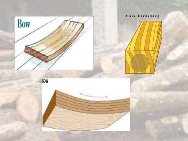 Defects in timber (1) | PPT