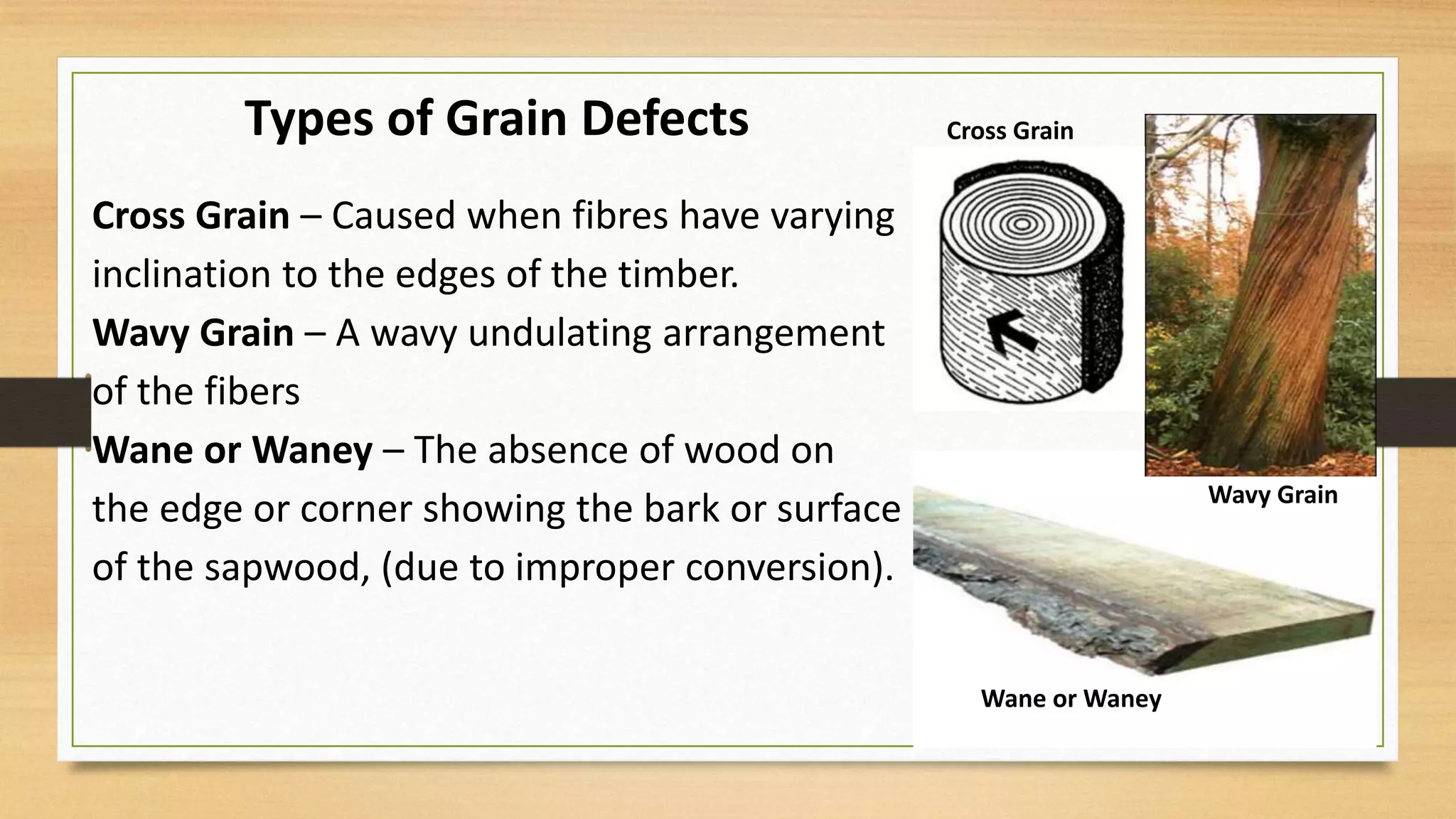 Defects In Wood Pptx Woodworking Arts And Crafts