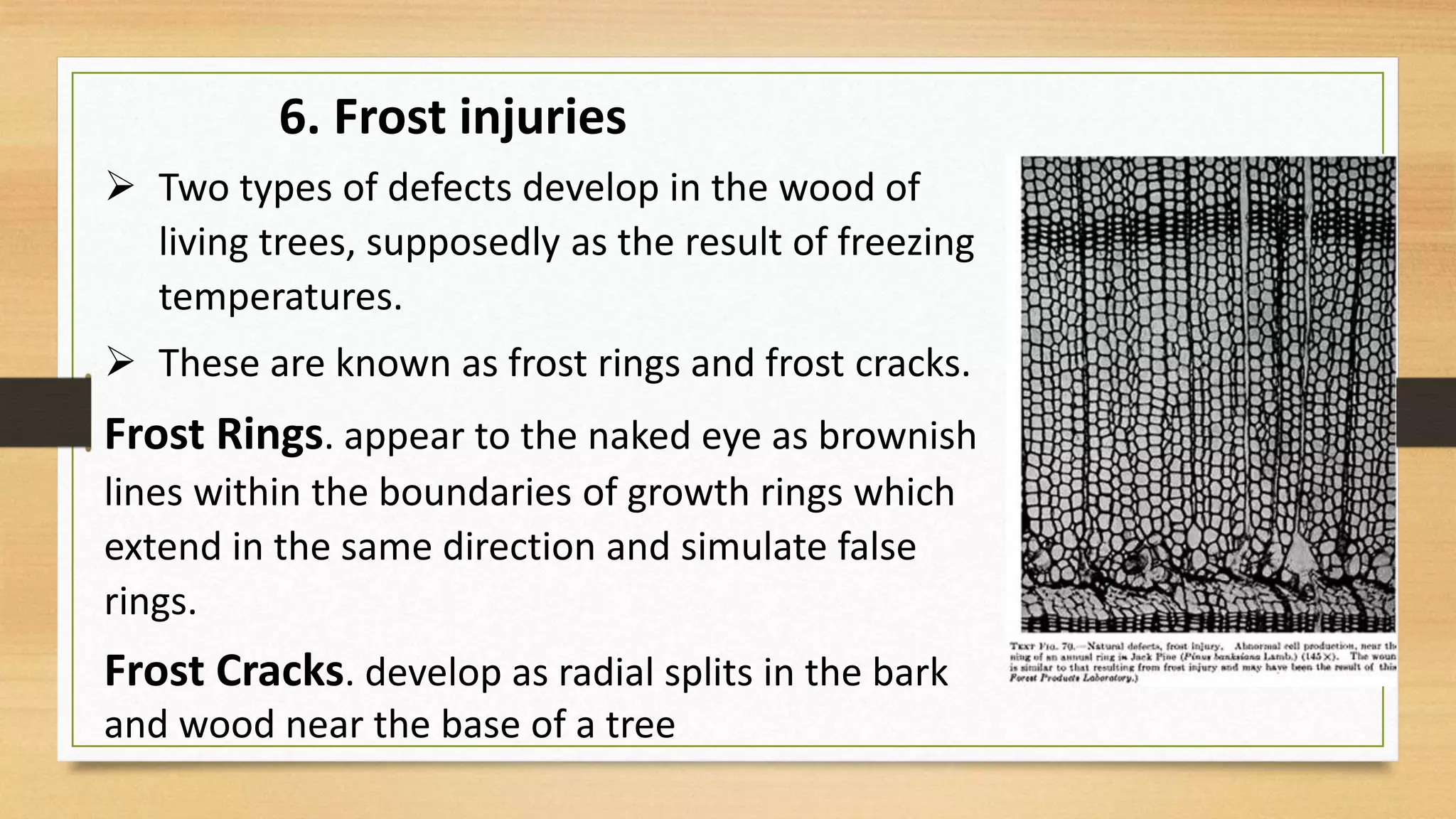 Defects in wood | PPTX