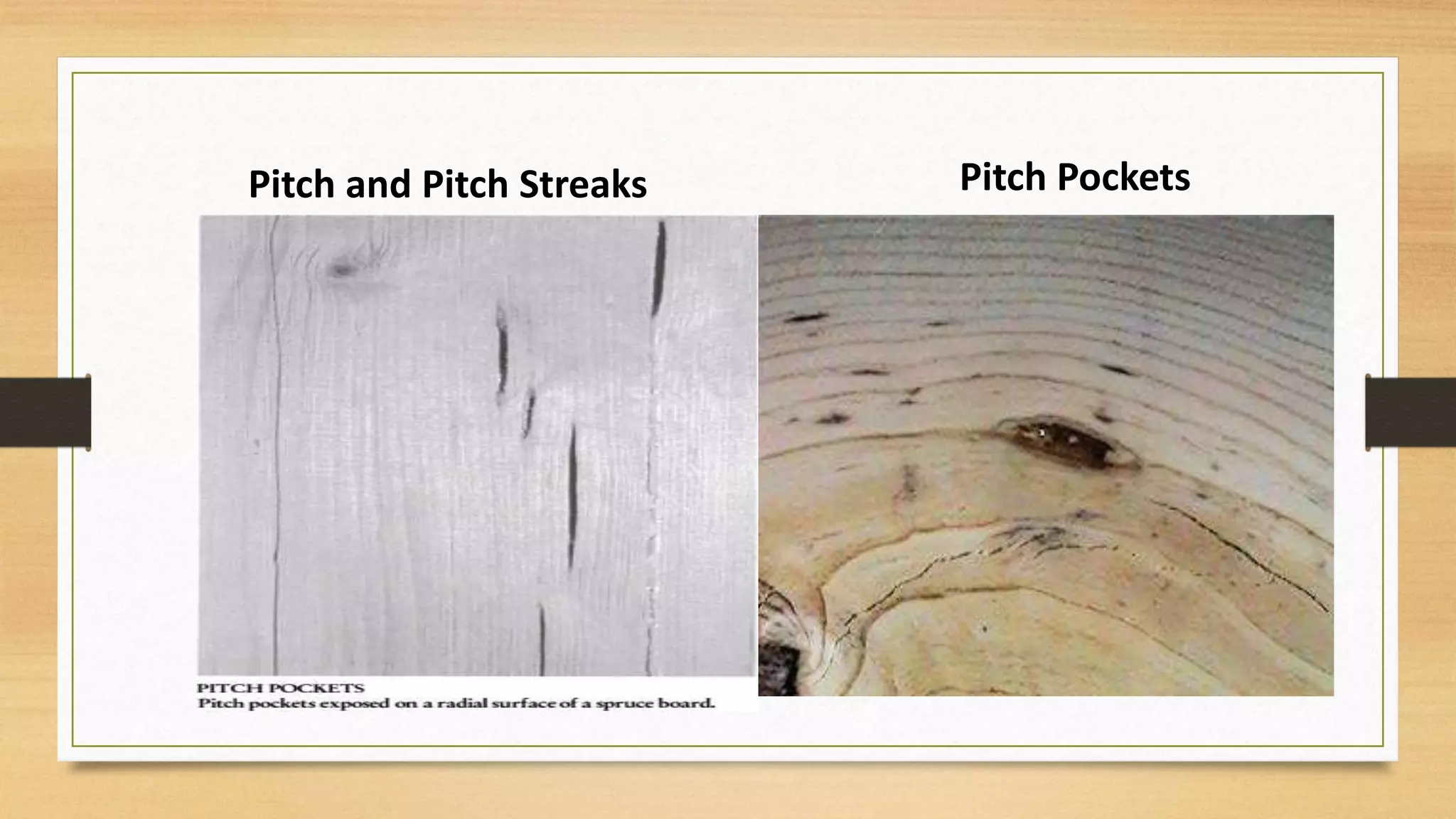 Defects in wood | PPTX
