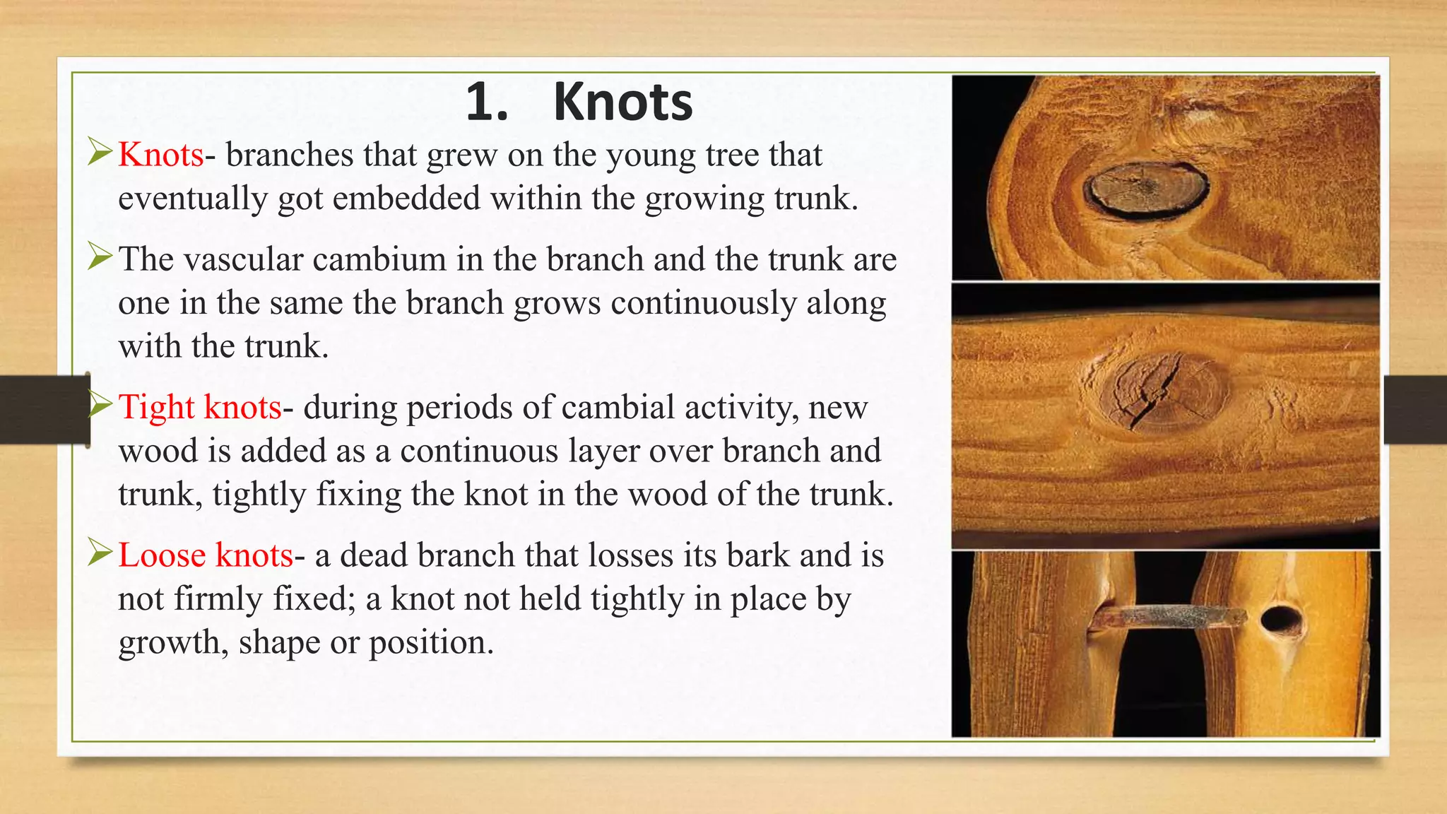 Defects in wood | PPTX
