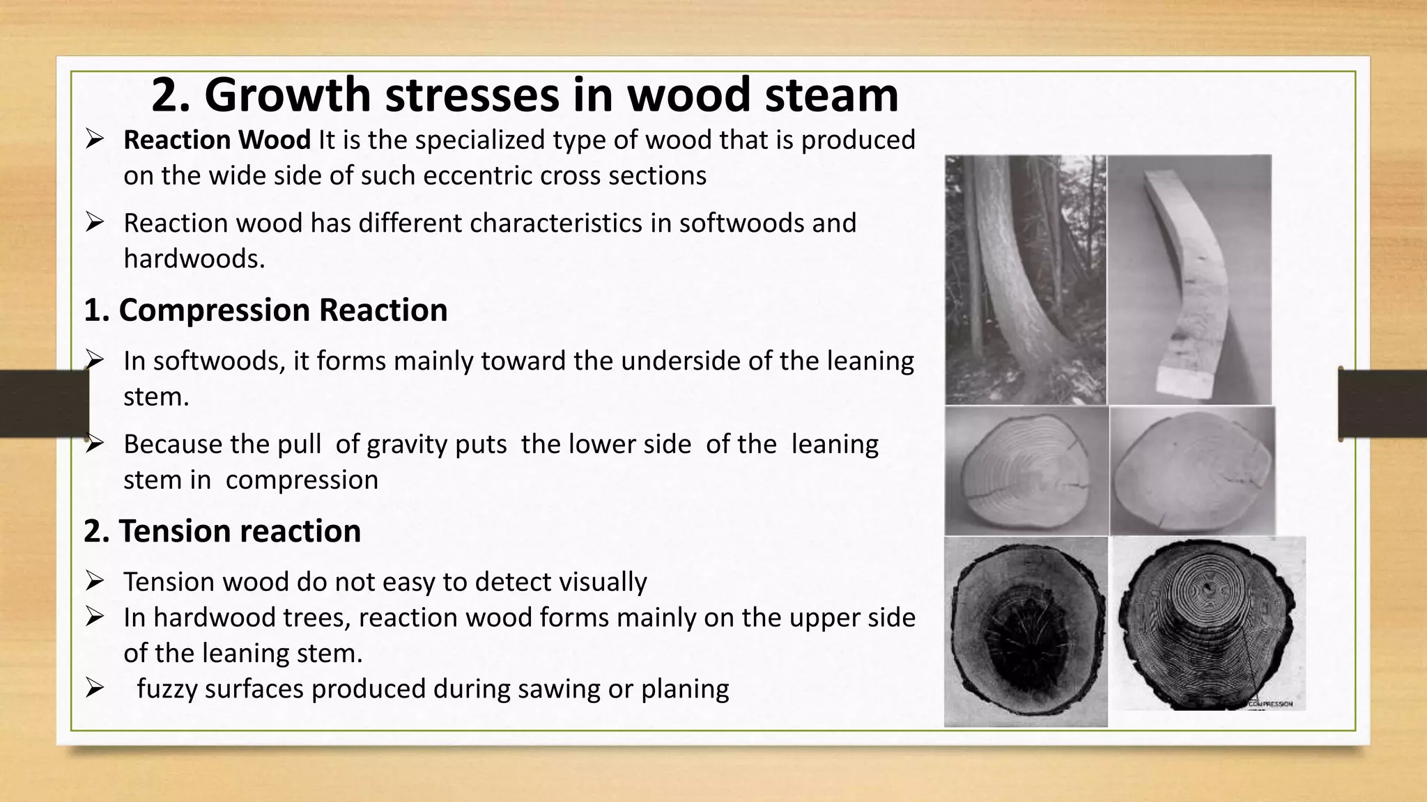 Defects in wood | PPTX