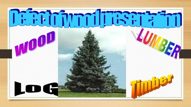Defects in wood | PPTX | Woodworking | Arts and Crafts