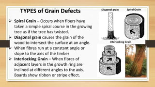 Defects in wood | PPTX