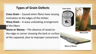 Defects in wood | PPTX