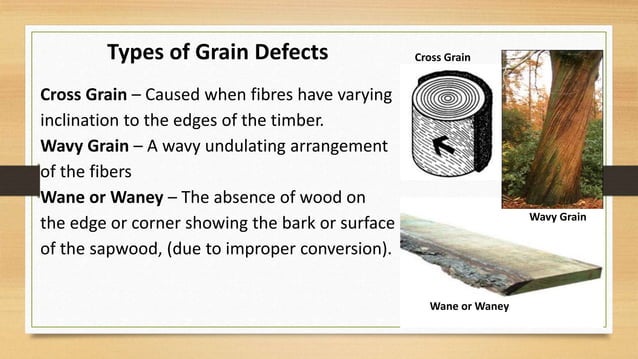 Defects in wood | PPTX | Woodworking | Arts and Crafts