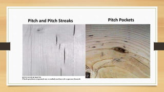 Defects in wood | PPTX