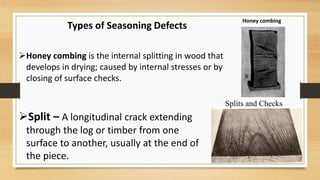 Defects in wood | PPTX