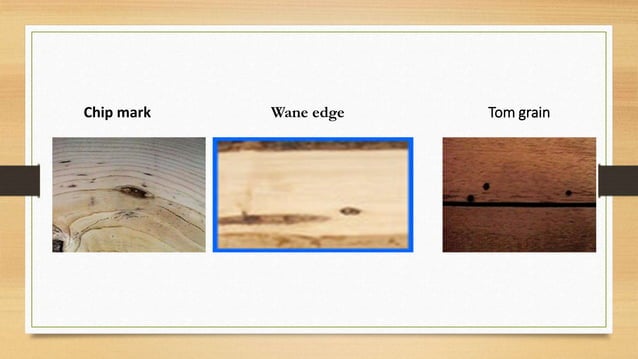 Defects in wood | PPTX | Woodworking | Arts and Crafts