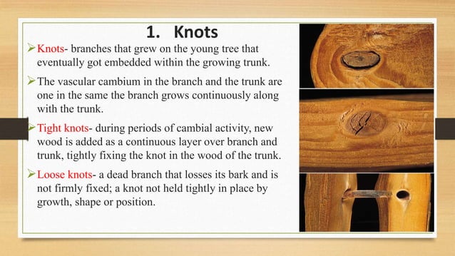 Defects in wood | PPTX | Woodworking | Arts and Crafts