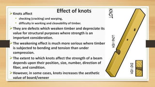 Defects in wood | PPTX