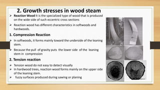 Defects in wood | PPTX