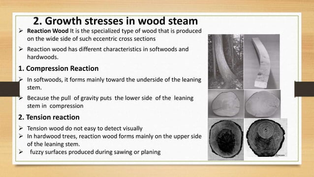 Defects in wood | PPTX | Woodworking | Arts and Crafts