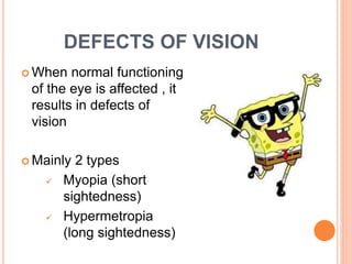 Defects of vision | PPTX